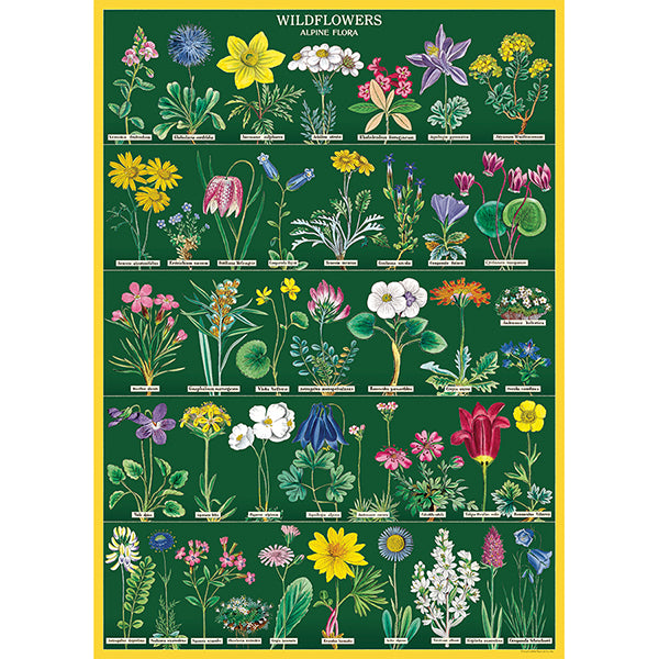 Wildflowers Poster – Silla Designs